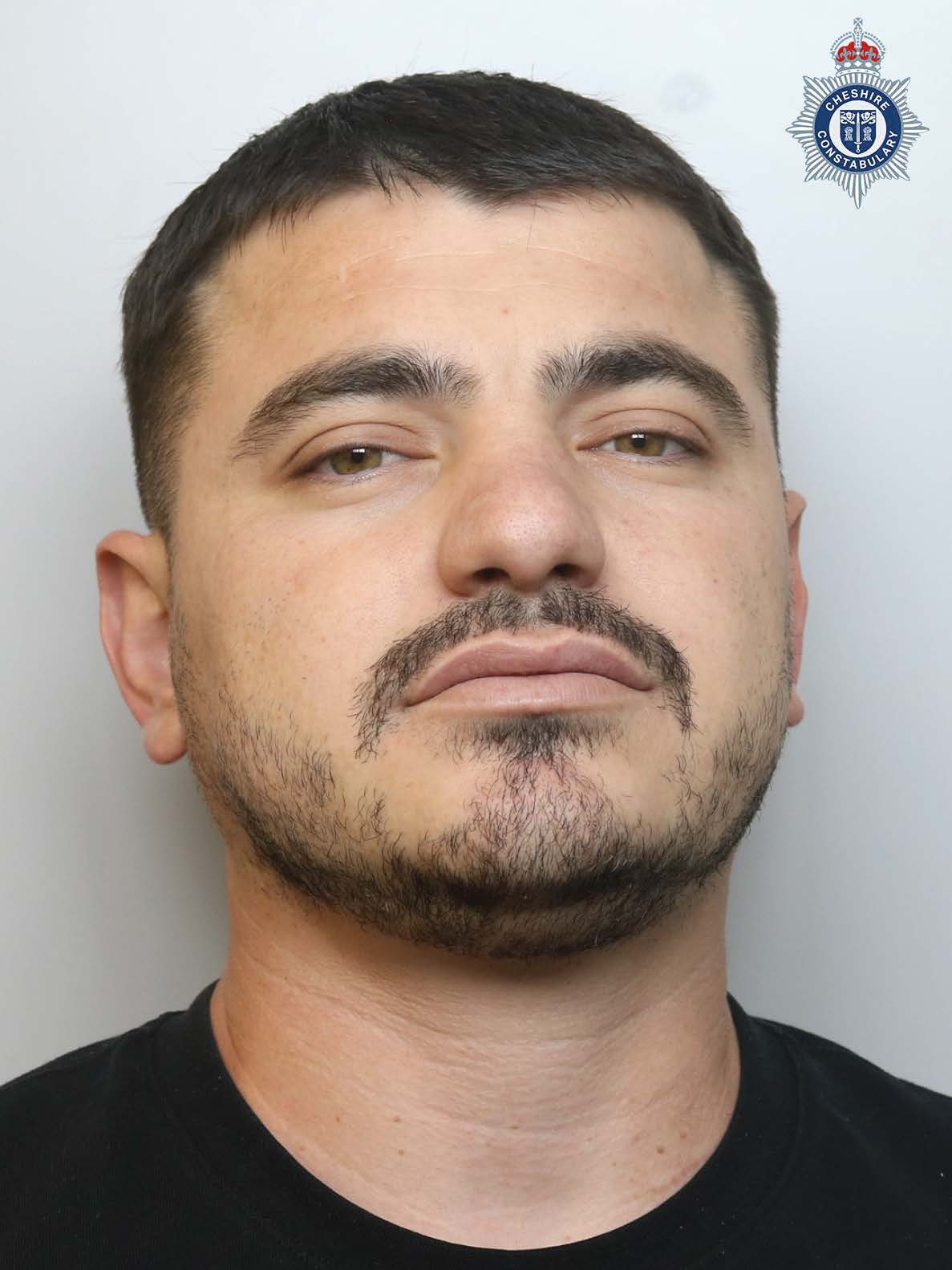 Albanian gang and British woman sentenced following £1-million burglary ...
