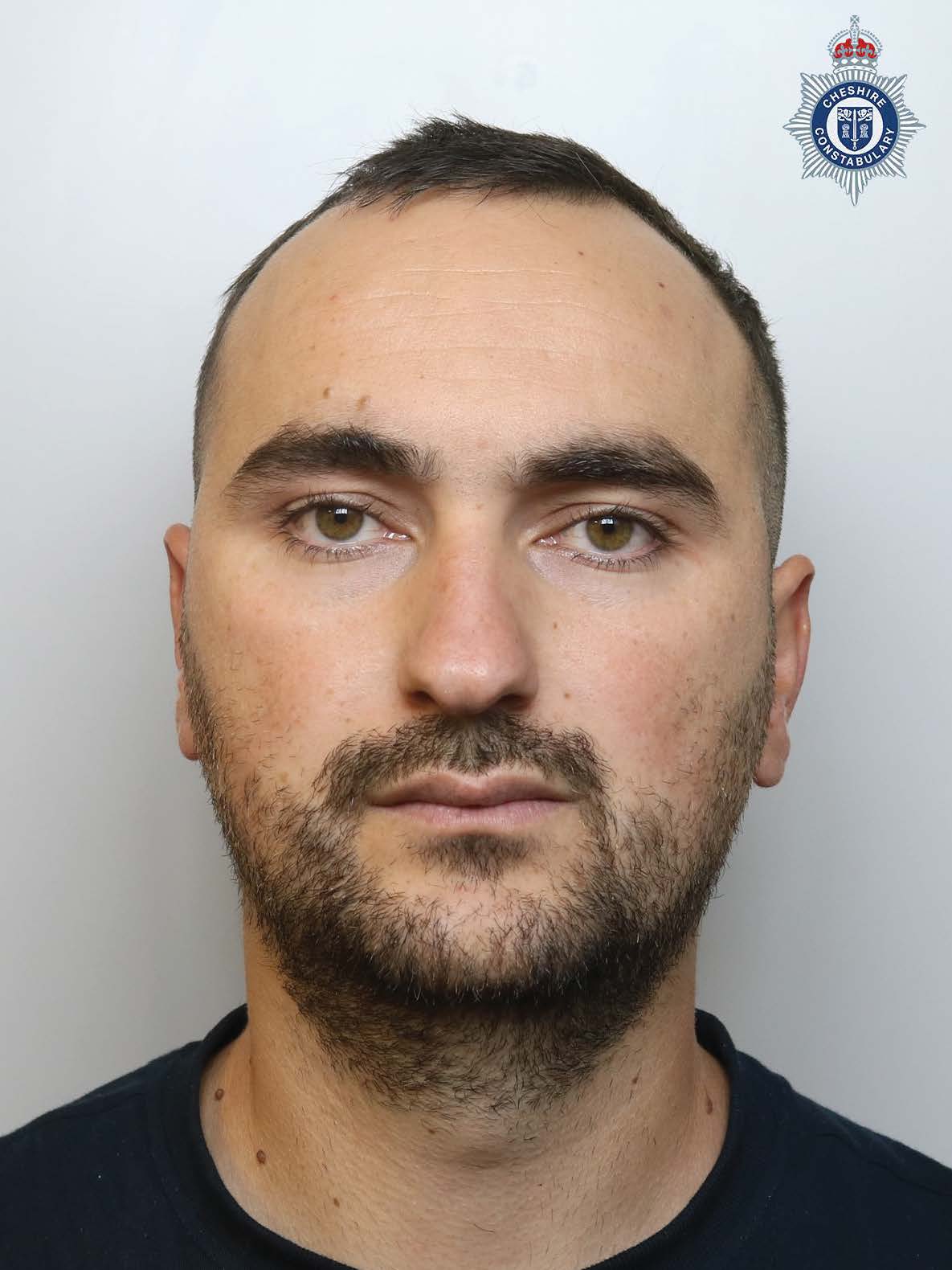 Albanian gang and British woman sentenced following £1-million burglary ...