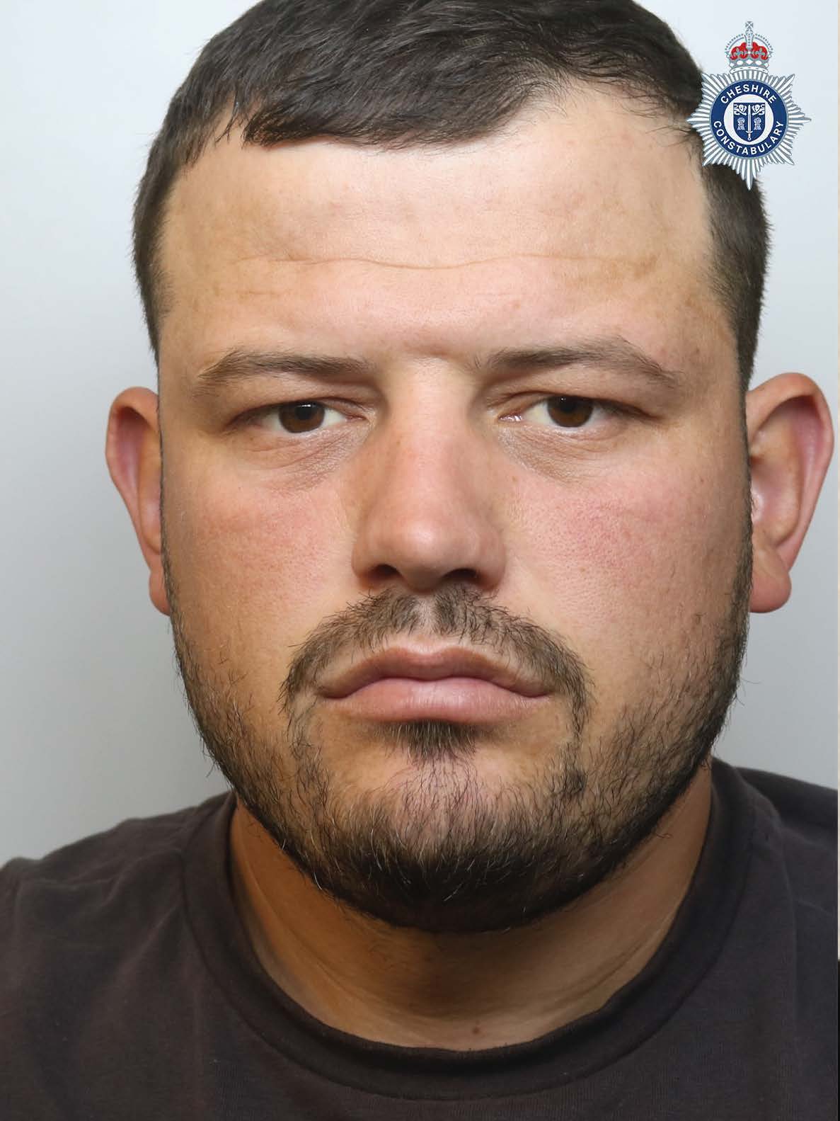 Albanian gang and British woman sentenced following £1-million burglary ...